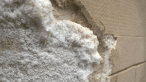 How to Stop Efflorescence in Concrete? - Çimsa